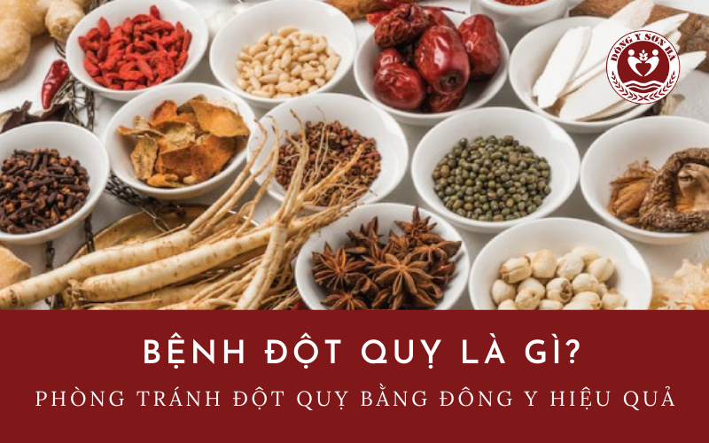 Bệnh đột quỵ là gì? Giải pháp chống đột quỵ bằng Đông Y hiệu quả